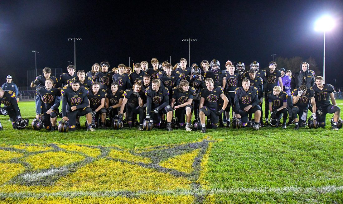 A PLAYOFFS FLEX | News, Sports, Jobs - The Freeman Journal